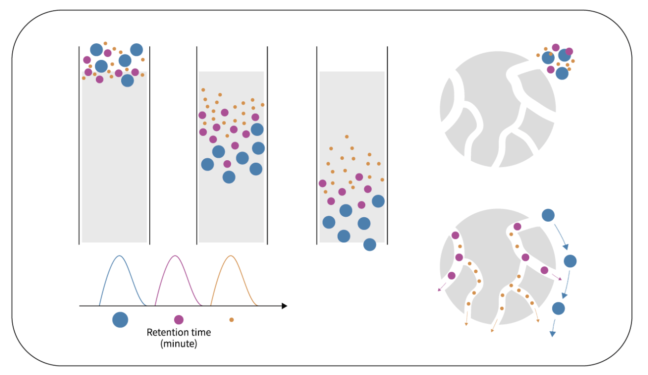 EVs Isolation Services CH – 上海晟燃生物科技有限公司